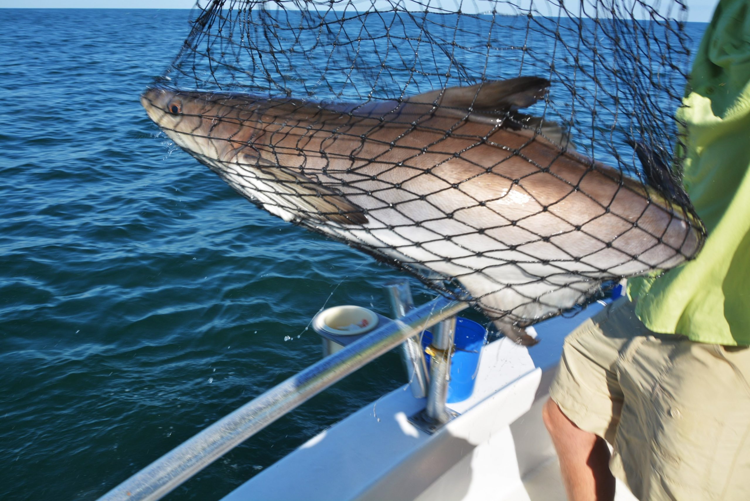 Landing Big Fish Using A Net Shows Respect For The Fish